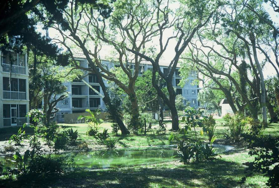 Photo Gallery - Bay Tree Club